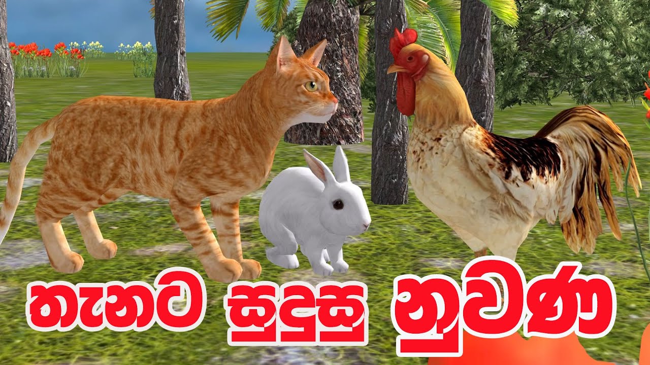 තැනට සුදුසු නුවණ Sinhala Cartoon 3D Animation - YouTube