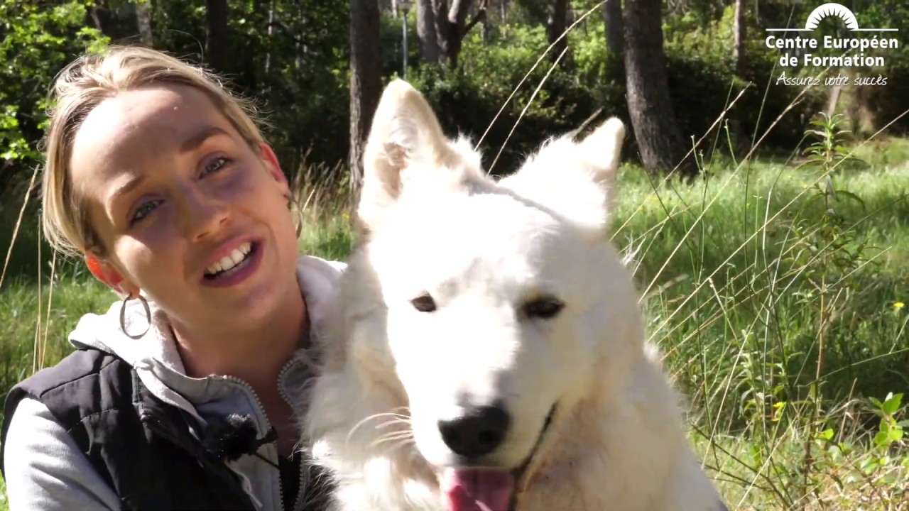 Le métier d'éducateur canin : portrait d'Alexandra Galand (spécialisée ...