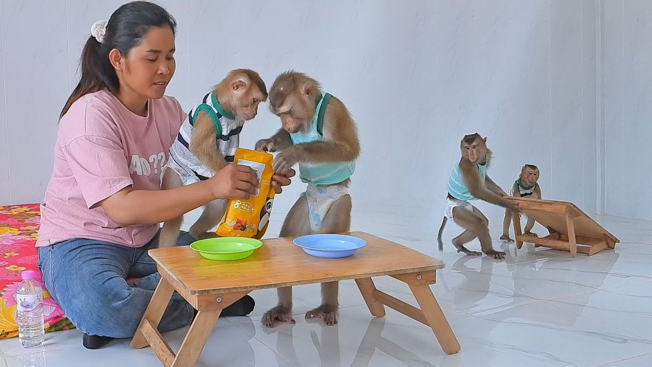 Two Brother Kako With Olly Preparing Table For Eats Daily Nuts And ...