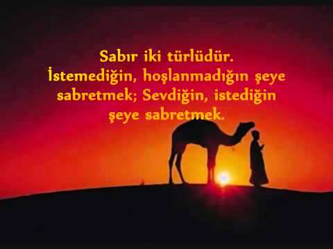 Hazreti Ali`nin en güzel sözleri vtr  slayt