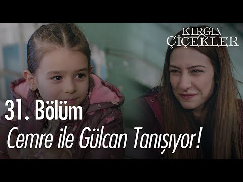 Cemre ile Gülcan tanışıyor! - Kırgın Çiçekler 31. Bölüm