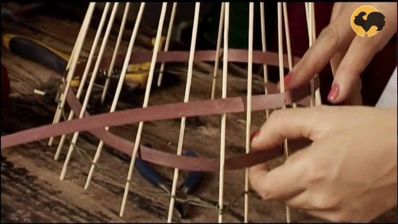 Ботаника. Экзотический букет - YouTube