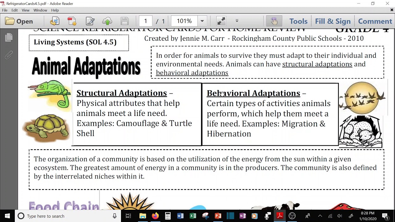 Ecosystem Study Guide - YouTube