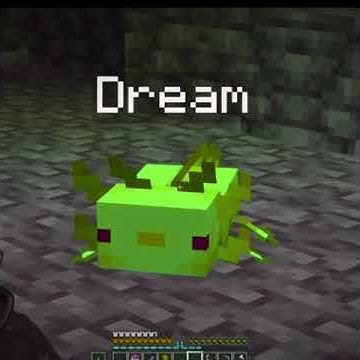 The Axolotl Song - YouTube