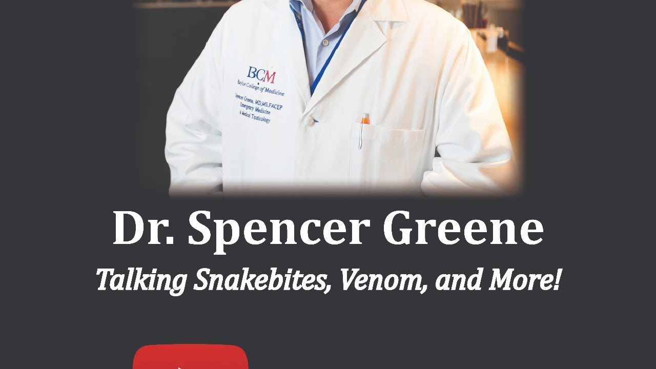 Talking Toxicology and Venom with Dr. Greene - YouTube