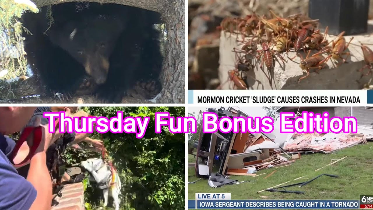 Thursday Fun Bonus Edition - YouTube