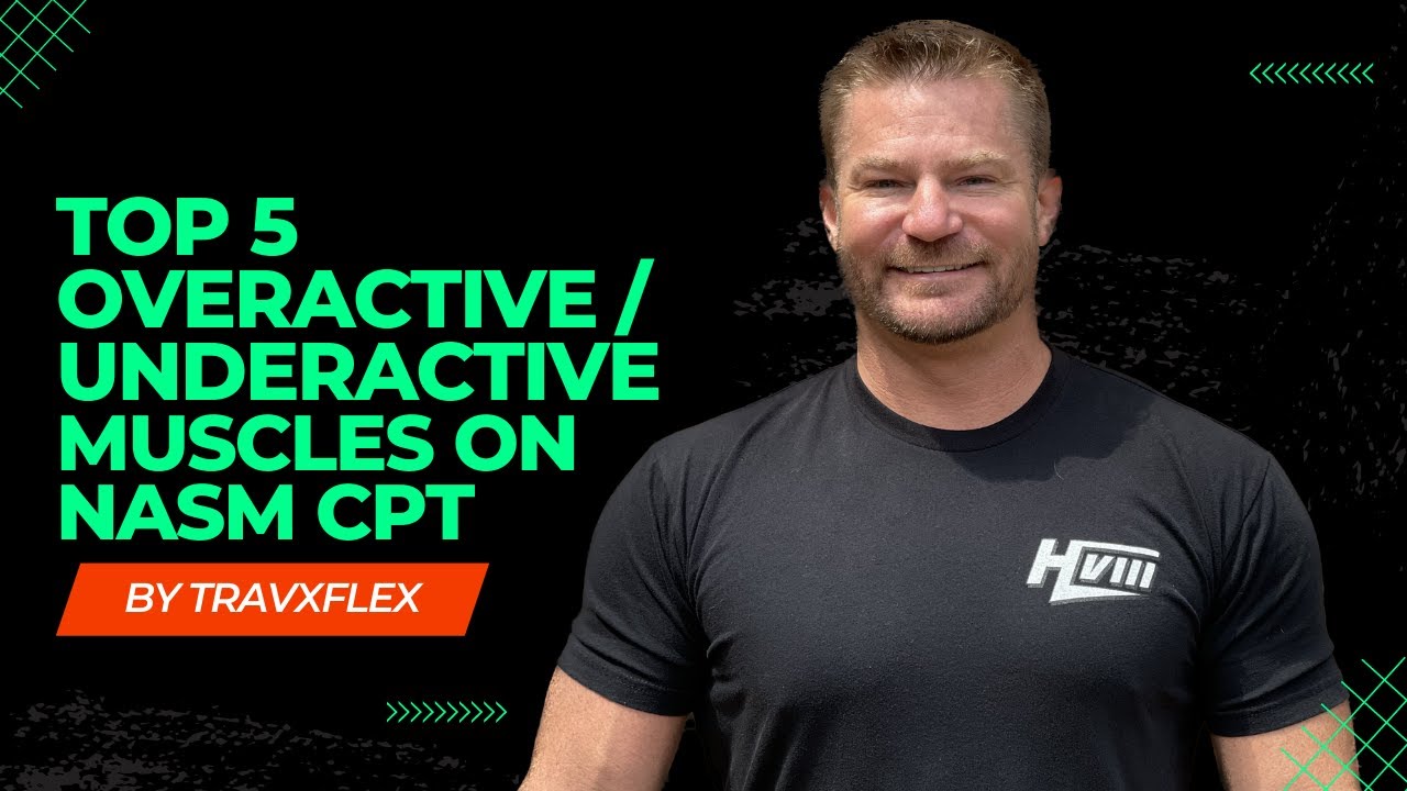 NASM CPT TOP 5 OVERACTIVE / UNDERACTIVE MUSCLES - YouTube