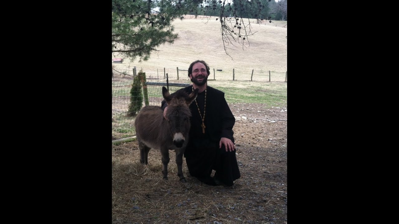 Stories That Work 15 - Fr Noah Bushelli - YouTube