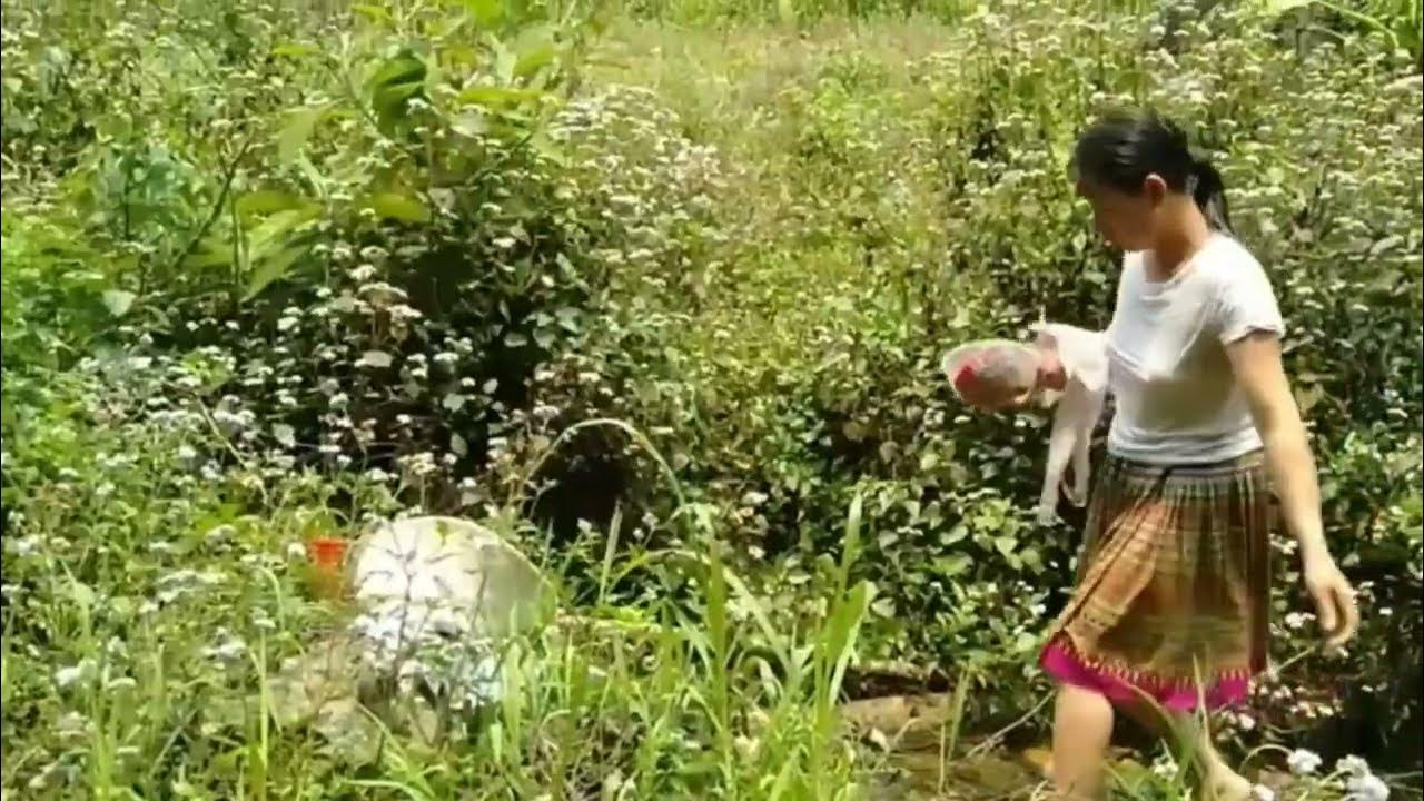 #intip mandi terlihat jelas itunya - YouTube