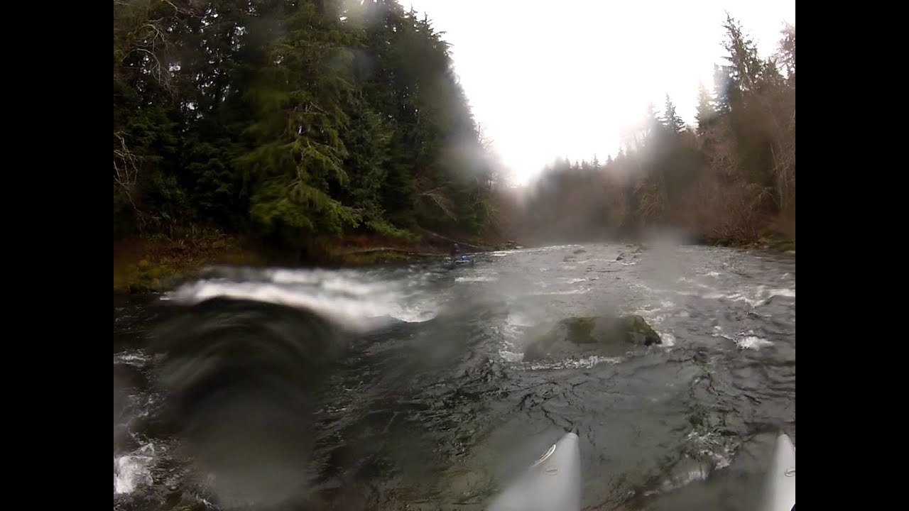 lower Calawah River float 1 - YouTube