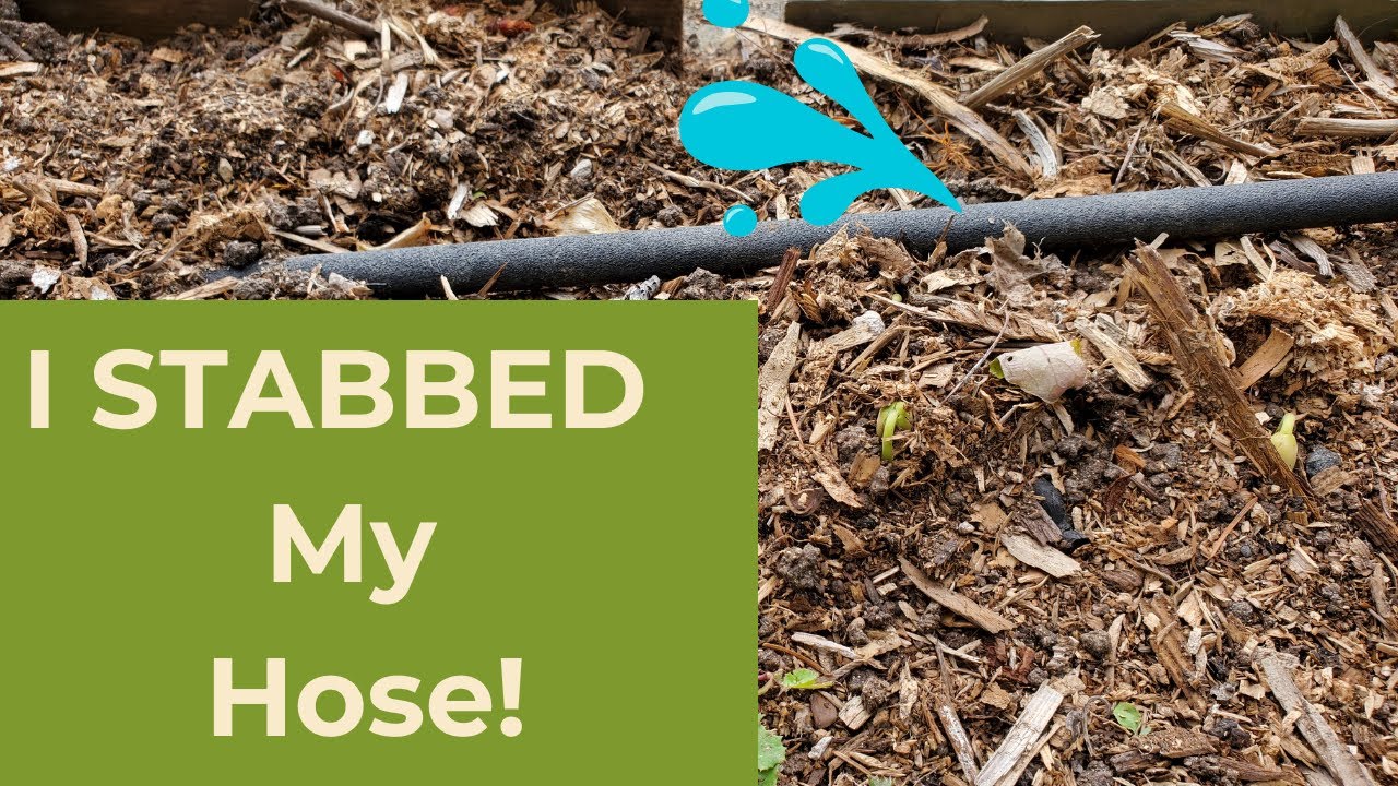 How to Repair a Soaker Hose in LESS that 2 Minutes - YouTube