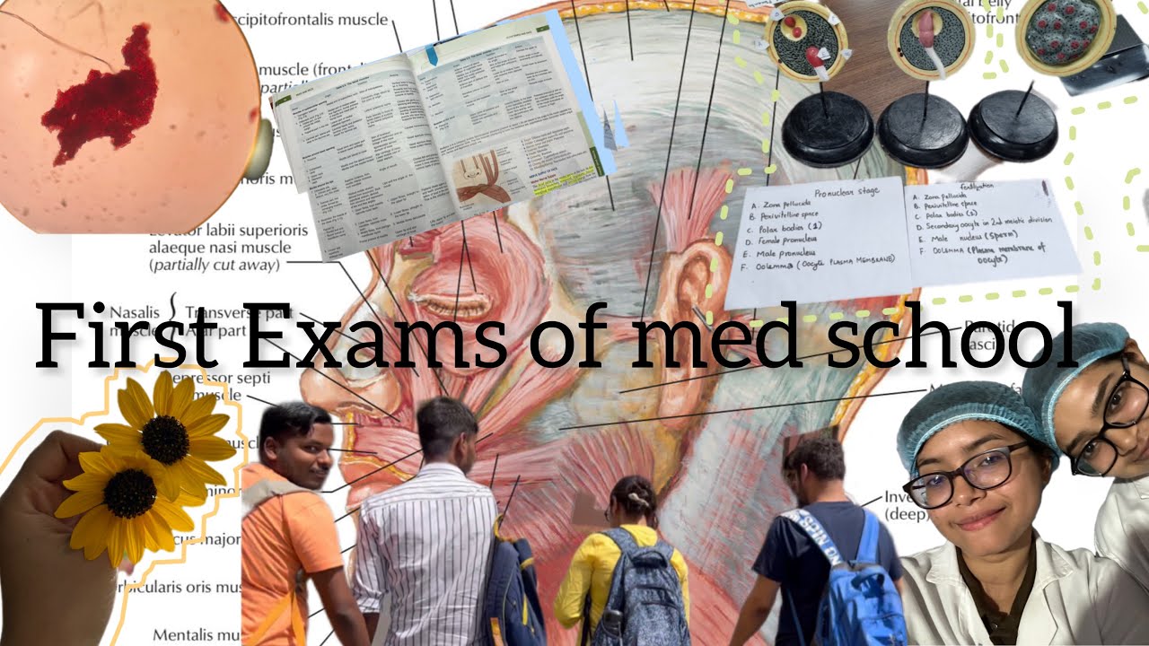 First exams of med school!😓theory📖+practicals🔬#maids#mamc - YouTube