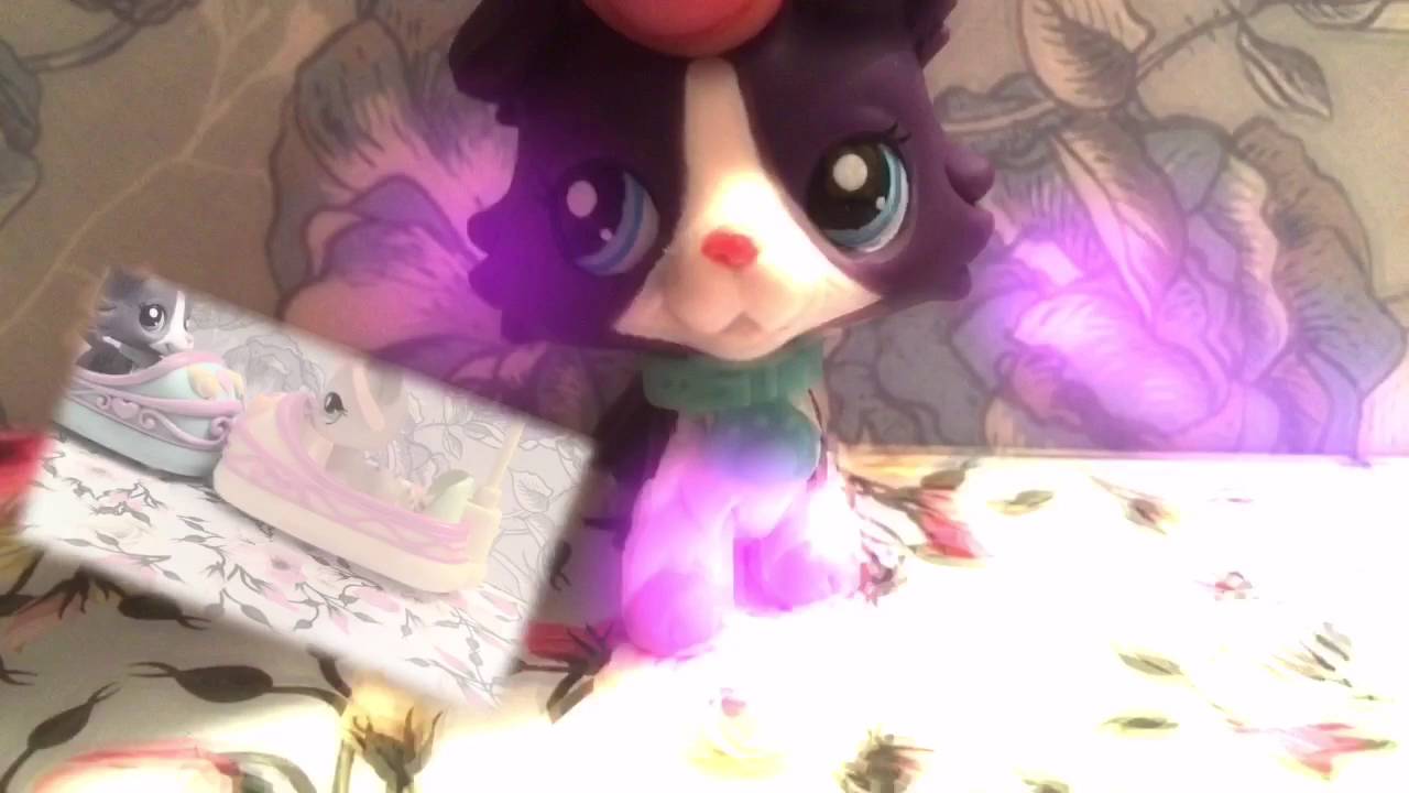 LPS: Fight Song - Rachel Platten - YouTube