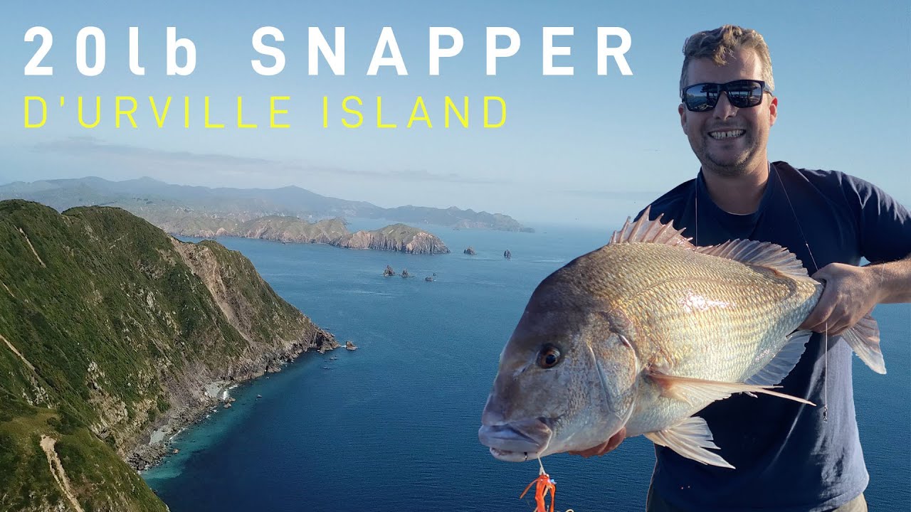 20lb Snapper D'Urville Island, New Zealand - YouTube