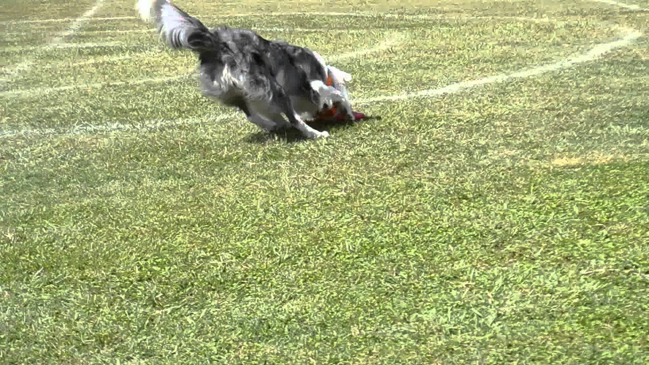 Arturo & Rocco Jugador Extremo - YouTube