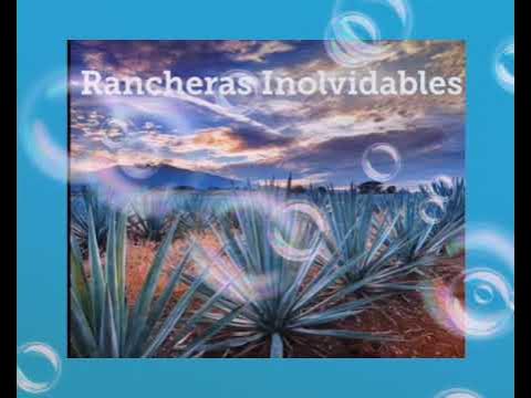 PURAS RANCHERAS MEXICO LINDO VOLUMEN 05 - YouTube