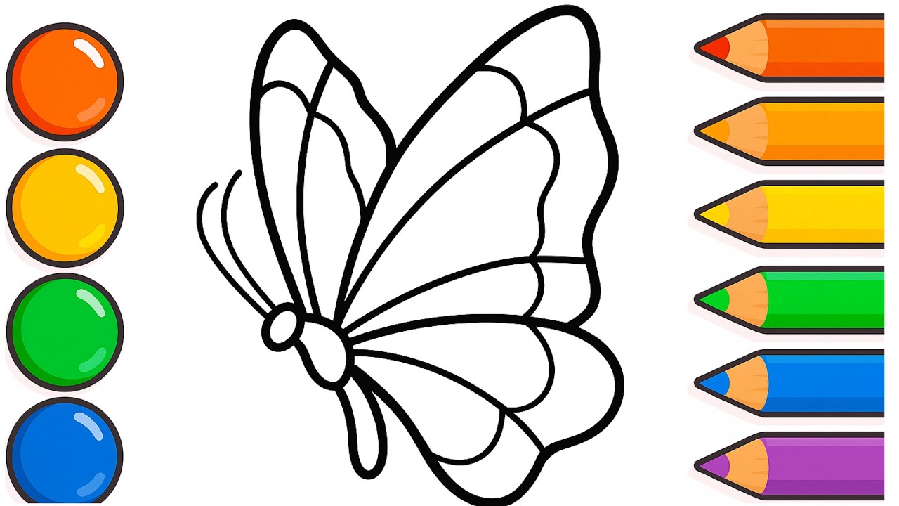 How to Draw and Color a Butterfly | Easy Step by Step Toturial - YouTube