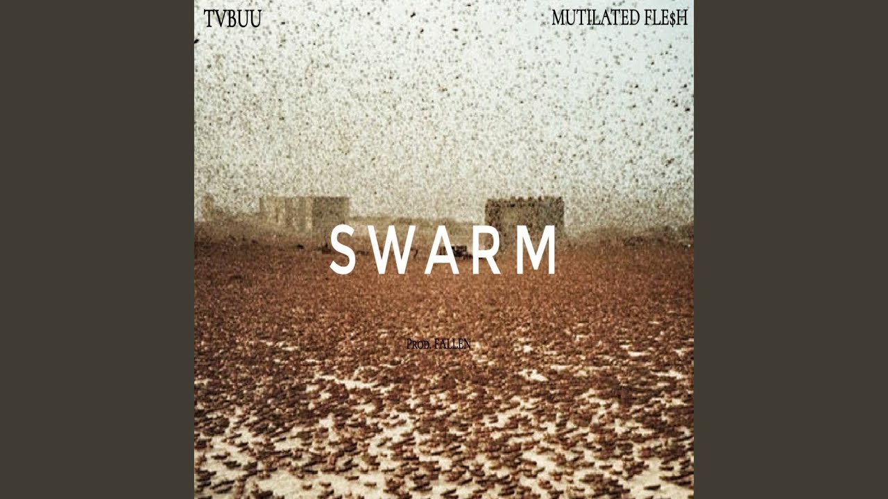 Swarm - YouTube