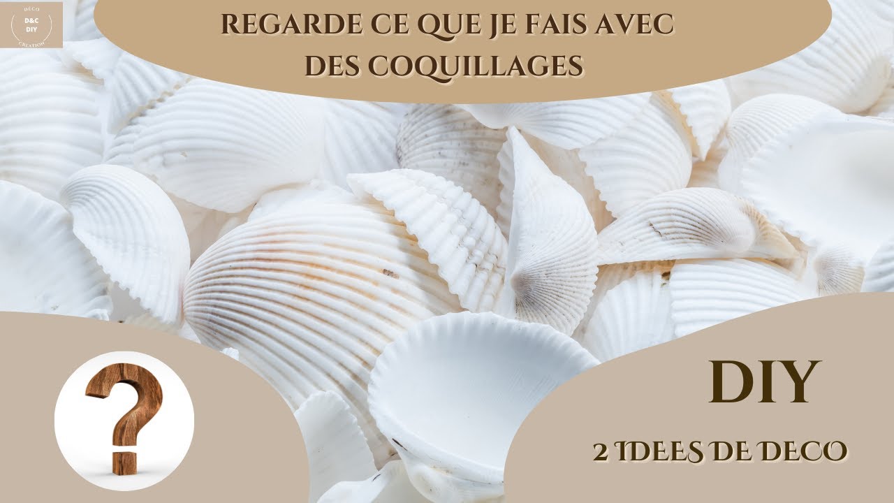 2 IDEES DE DIY DECO A FAIRE AVEC DES COQUILLAGES - YouTube