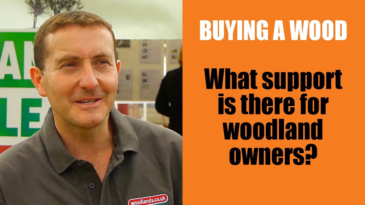 Buying a Wood: What support is there for woodland owners? - YouTube
