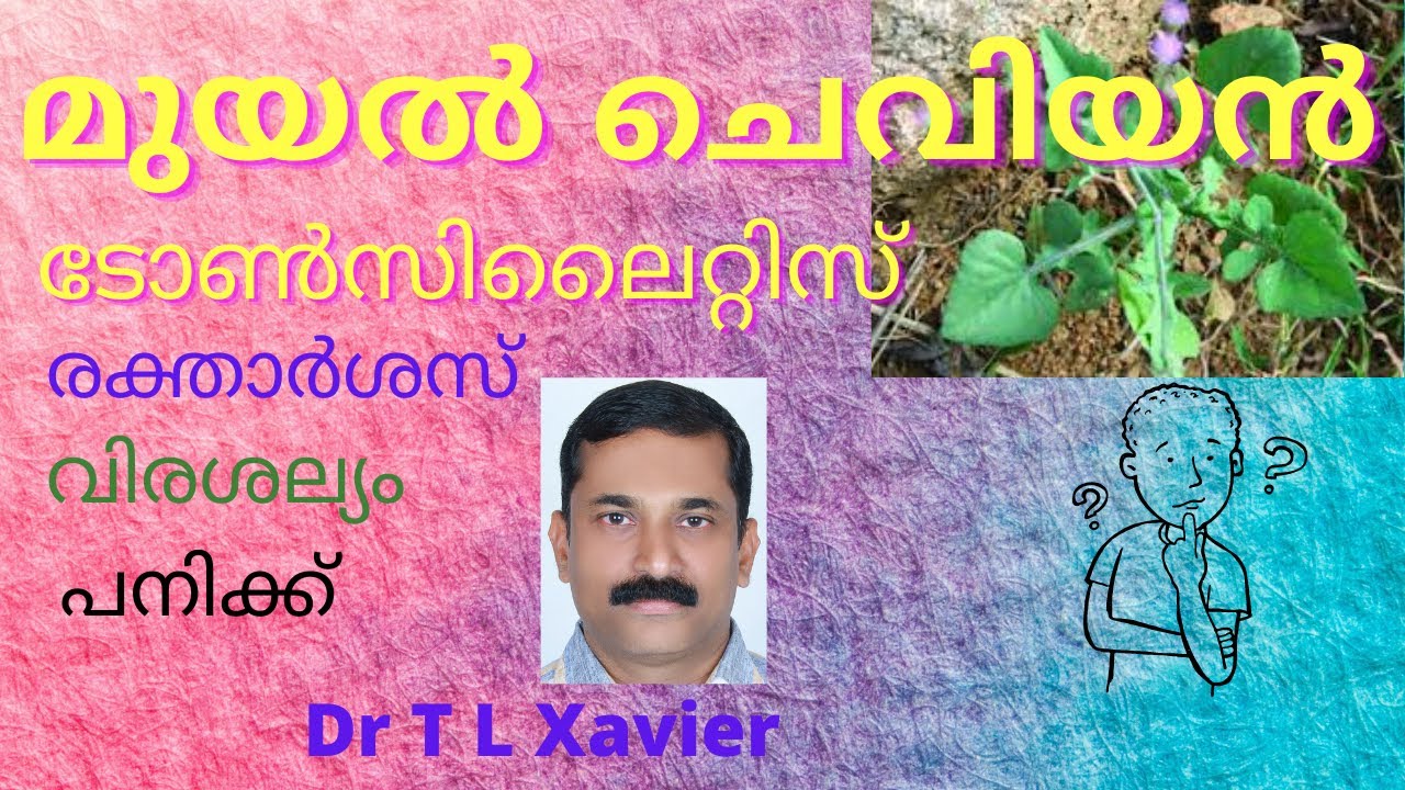 How to Beat Tonsilitis - The Natural Way | Muyal Cheviyan Emilia ...