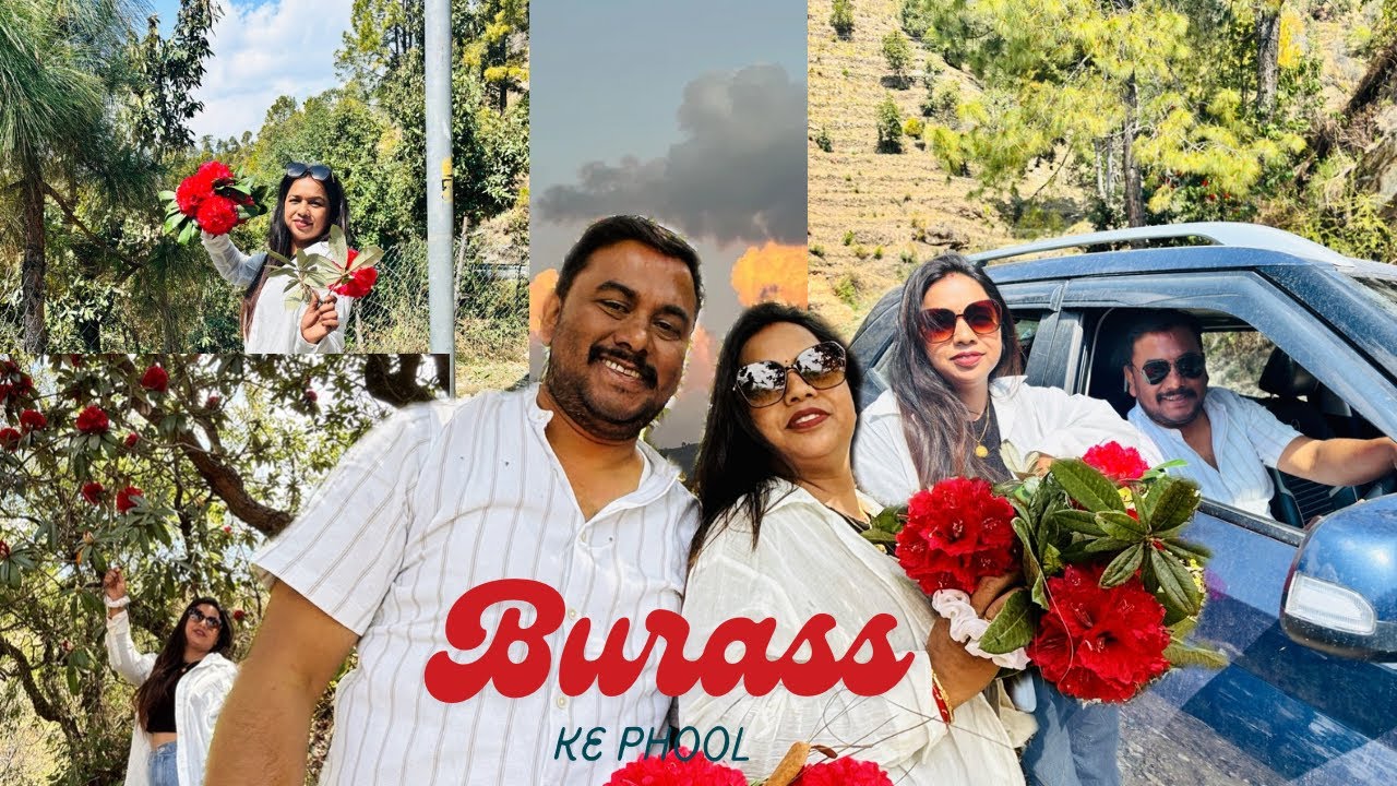 Pahado me khil gaye h burass ke phool || Uttarakhand Kumao ka famous ...