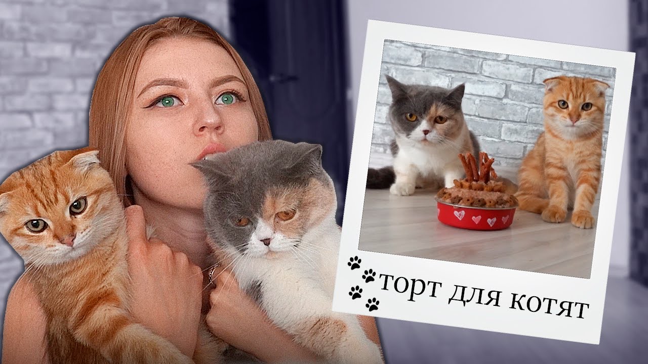 ГОТОВЛЮ ТОРТ ДЛЯ СВОИХ КОТЯТ - YouTube