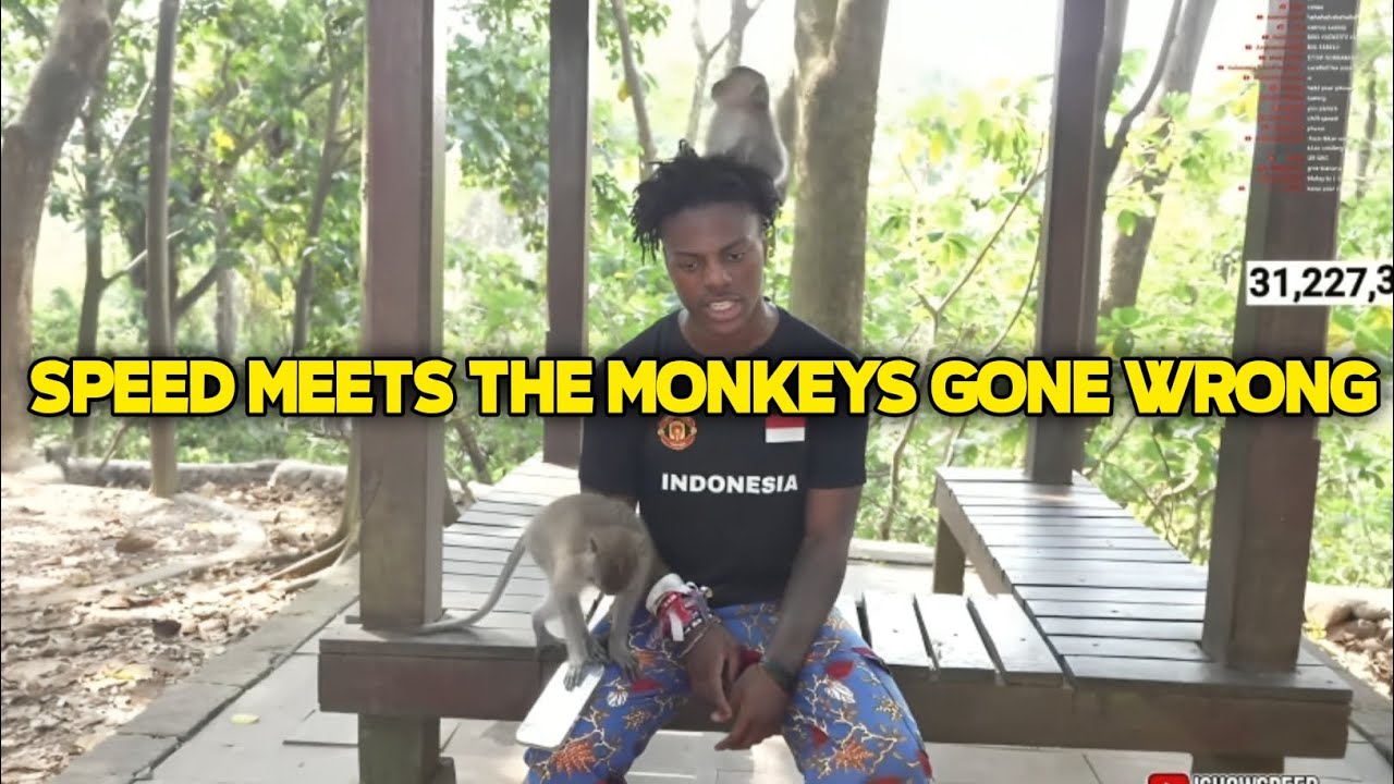 Ishowspeed vs Monkeys - YouTube