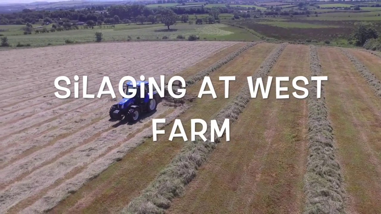 Silaging 2017 | Daniel Tiffin | West Farm - YouTube