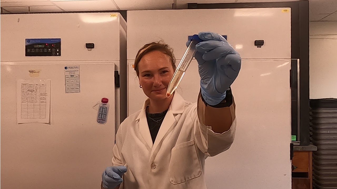 Weekly Vlog #1 | Scientist doing NASA funded research - YouTube