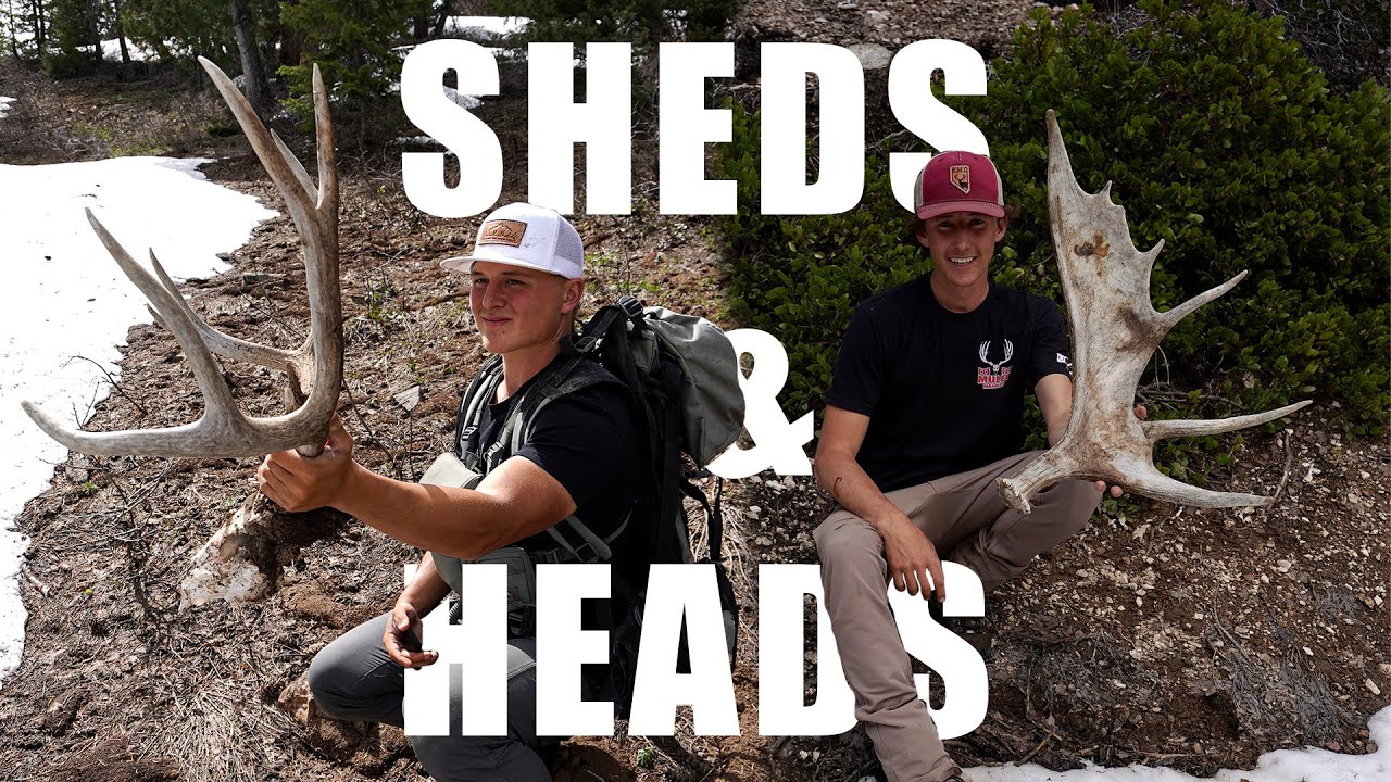 HUGE MOOSE SHED | HUGE DEADHEAD - YouTube
