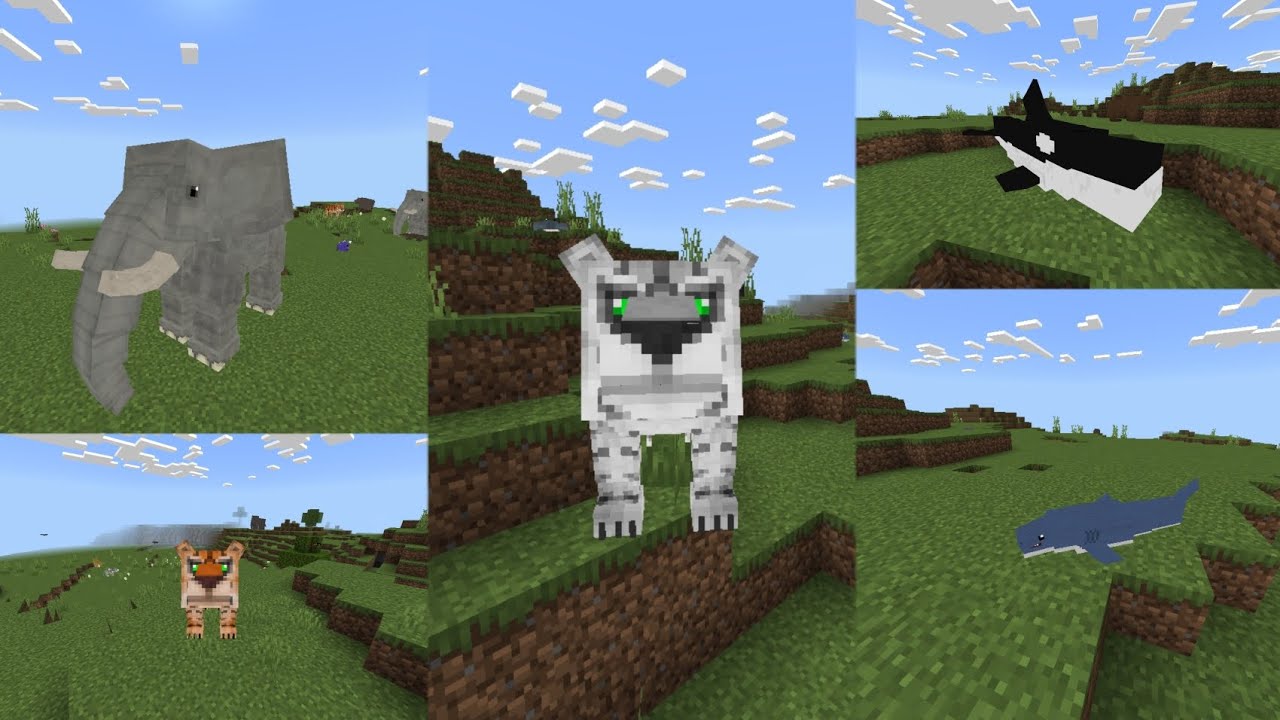 เเจก+ริวิว สัตว์โครตเยอะมาก World Animals Add-on Minecraft PE 1.19 ...
