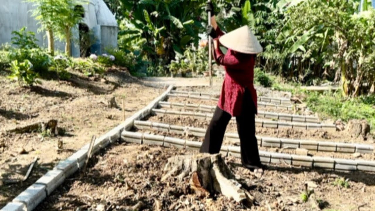 Ways to transform a barren gravel land into a flat fertile garden: The ...