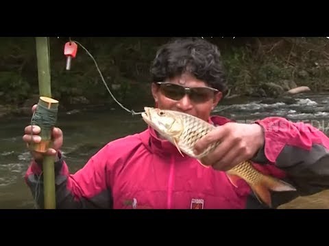 MANCING MANIA | MANCING VS SURVIVAL SUNGAI KUANTAN (11/05/19) PART 3 ...