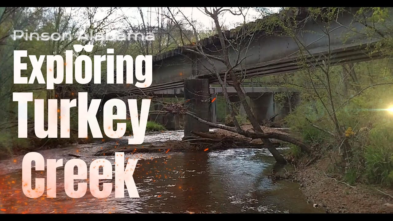 Exploring Turkey Creek ( Pinson, Alabama ) - YouTube