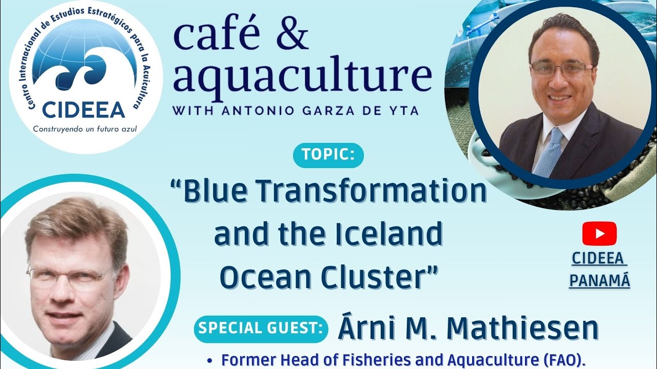 C&A / Interview with Árni M. Mathiesen - YouTube