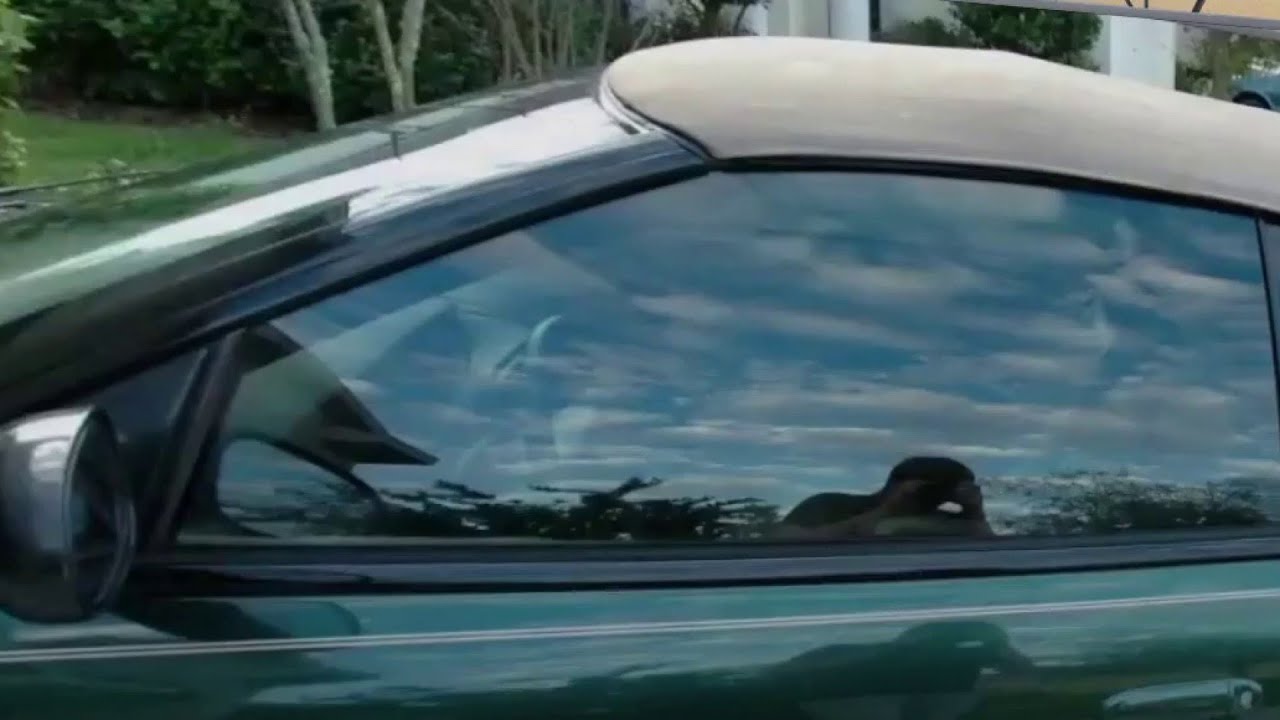 What exactly are the car window tint laws in Florida? - YouTube