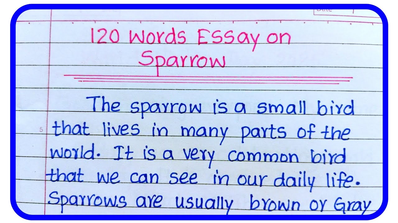 The Sparrow Essay in English | Essay on Sparrow | Write About Sparrow ...