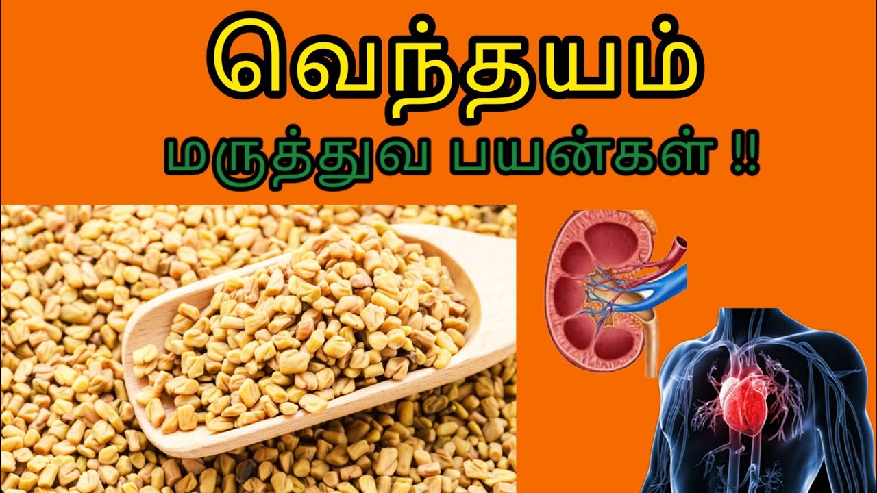 வெந்தயம் மருத்துவ பயன்கள் | Health benefits of venthayam tamil ...
