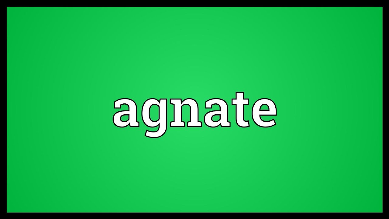 Agnate Meaning - YouTube