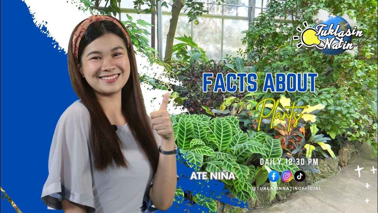 TUKLASIN NATIN - EPISODE | FACTS ABOUT PLANTS | JULY 4, 2023 - YouTube