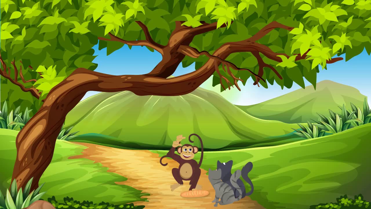 Monkey & Two Cats story: two carts fight over a loaf of bread - YouTube