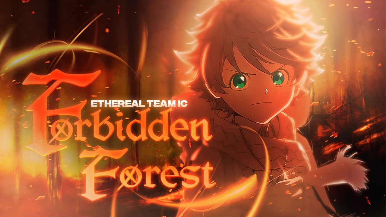Ethereal Team IC #4: Forbidden Forest ($300 Prize Pool) - YouTube