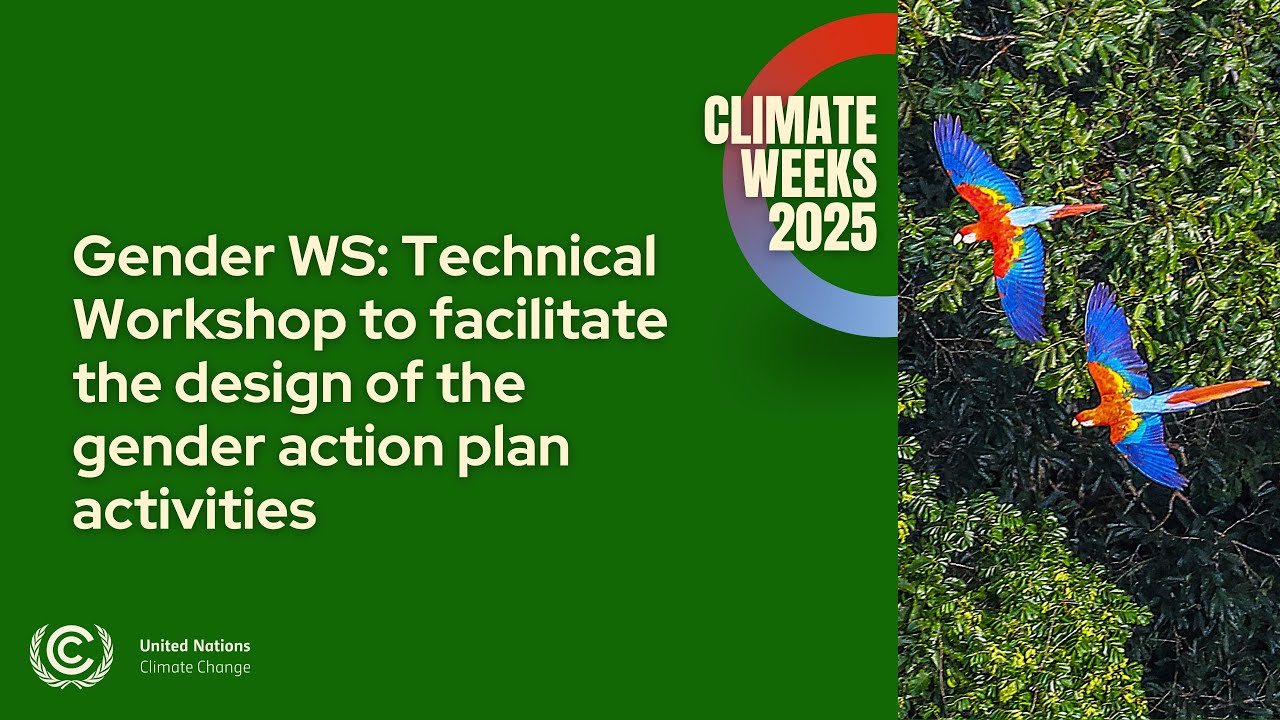 Gender WS: Technical Workshop to facilitate the design of the gender ...