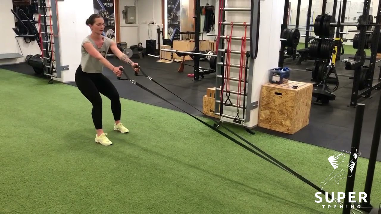 Sled Row [2-arm] - YouTube