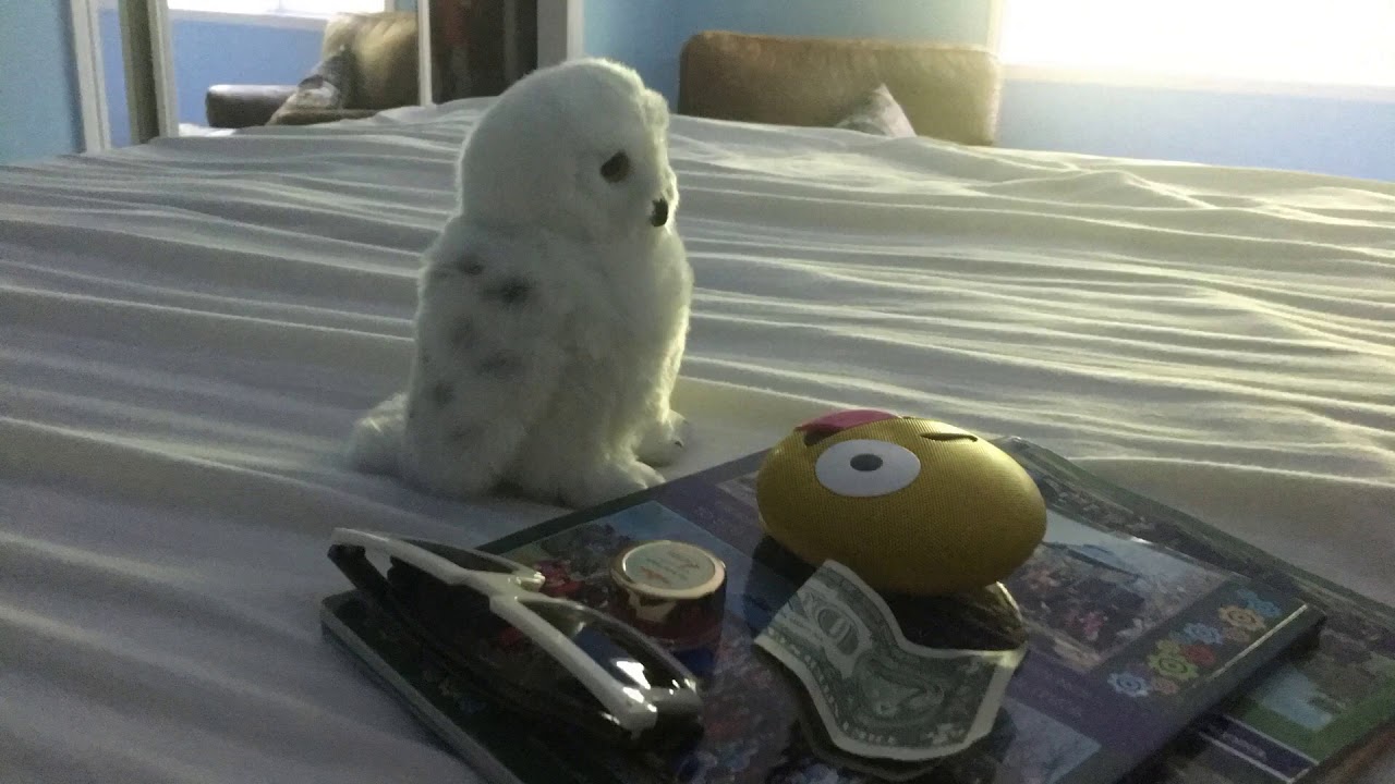 Backflip stop motion - YouTube