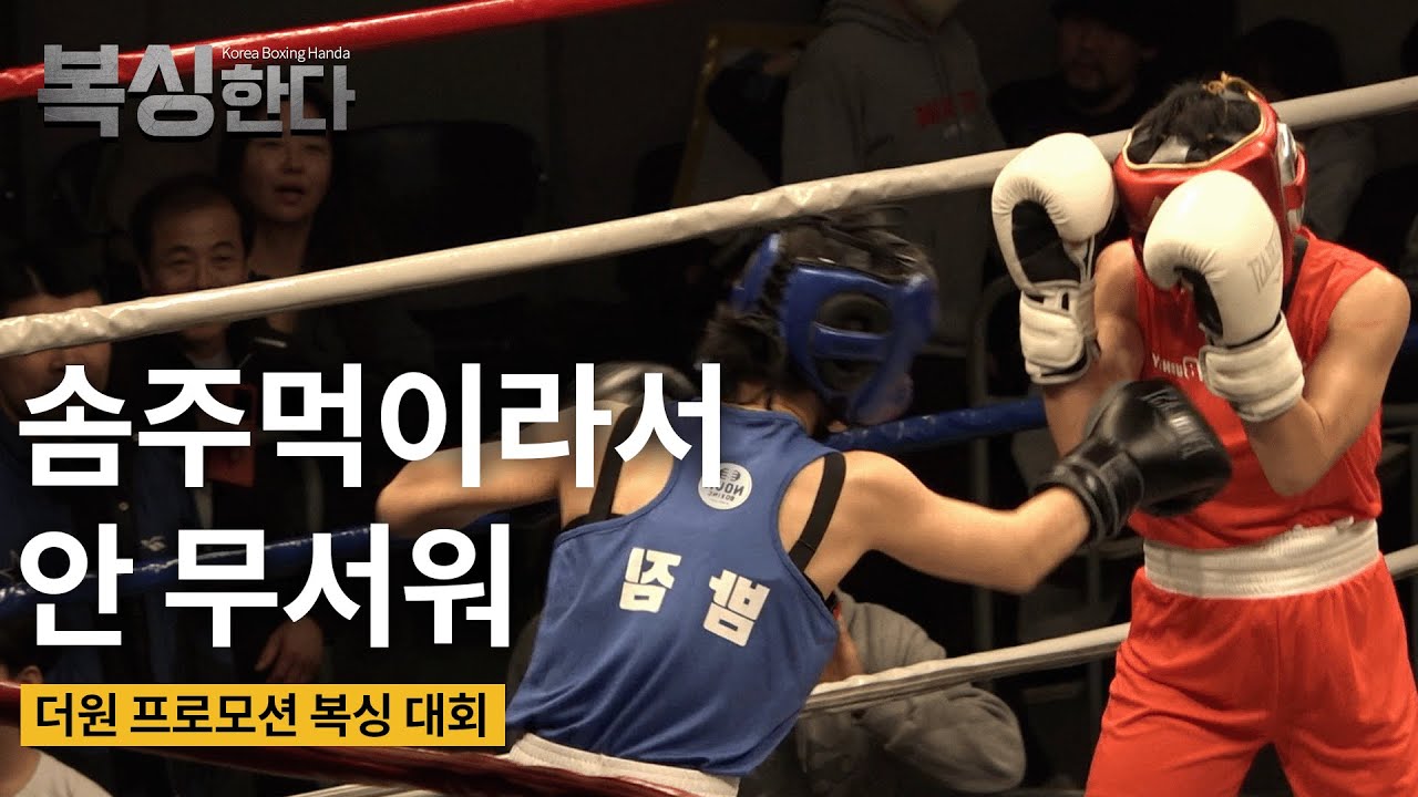 솜주먹 싸움 [Korea Boxing Handa] - YouTube