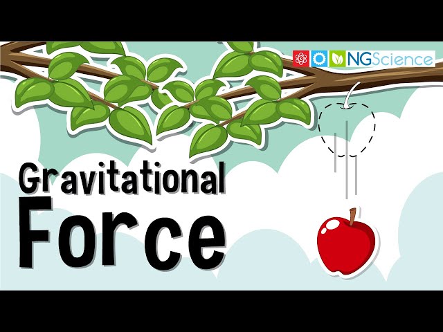 Science: Gravitational Force Explain…: English ESL video lessons