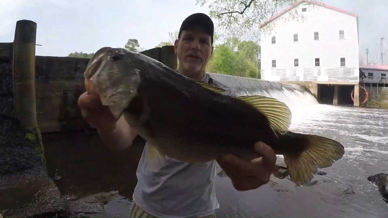 How to Catch Springtime Spillway Bass on Lipless Crankbaits - Fun Day ...