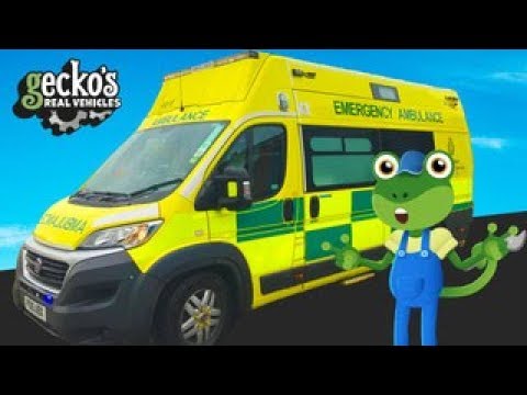 Gecko and The Ambulance + More! | Gecko's Real Vehicles | Educational ...